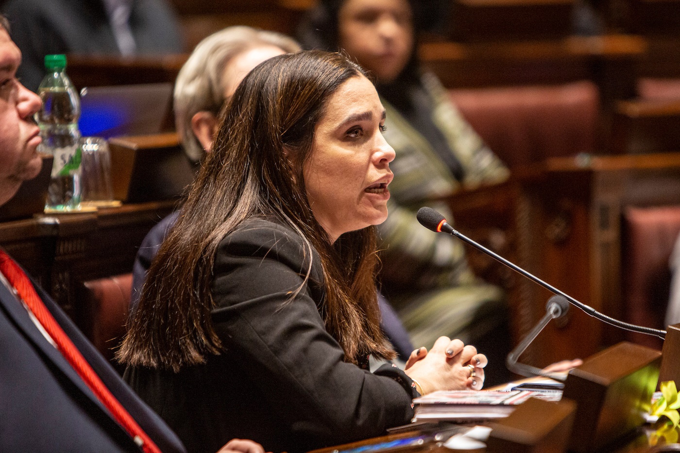 La diputada del Partido Colorado María Eugenia Roselló propone que se ...