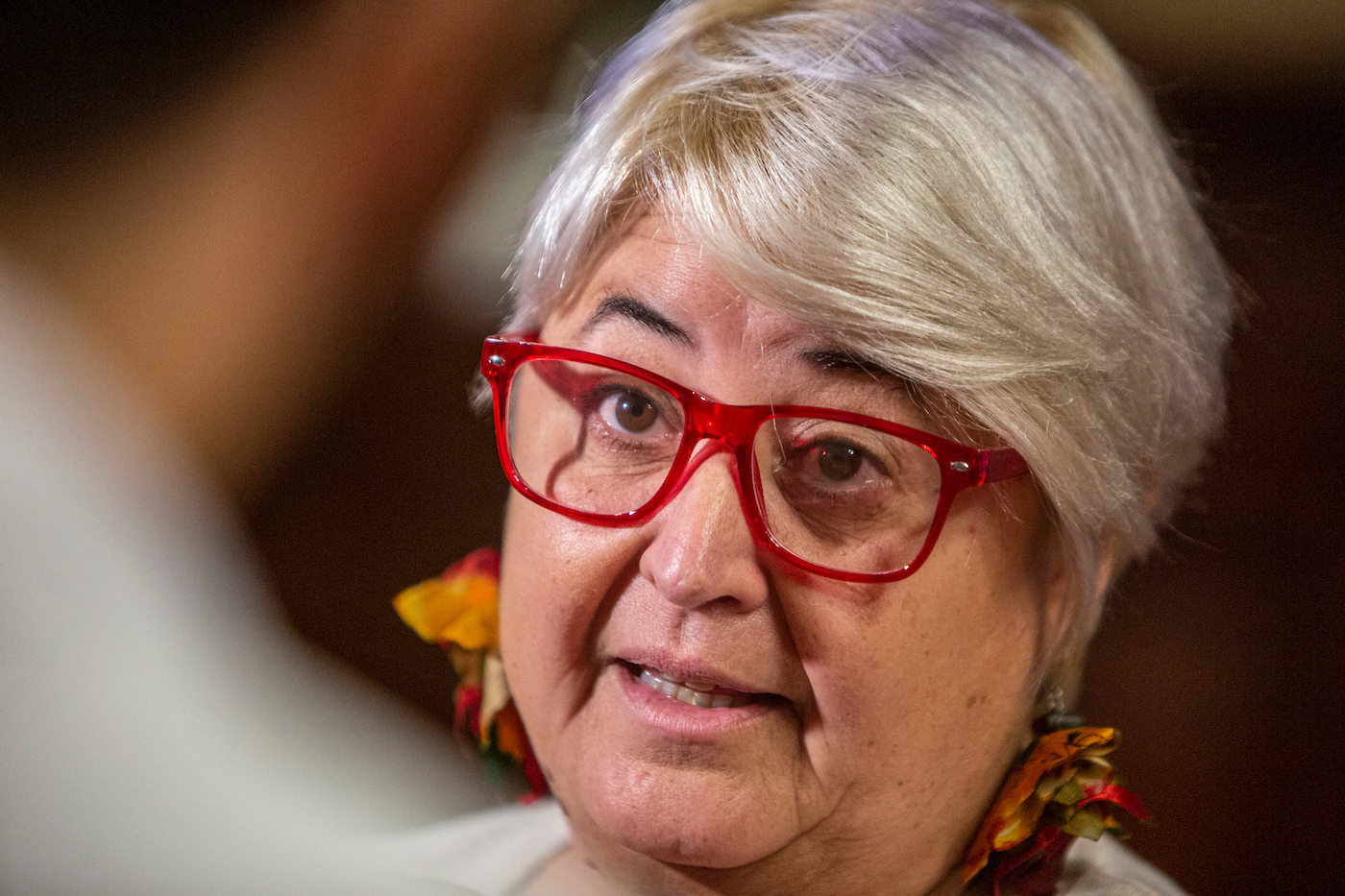 Sandra Lazo será la nueva ministra de Defensa Nacional, y destacó a sus ...