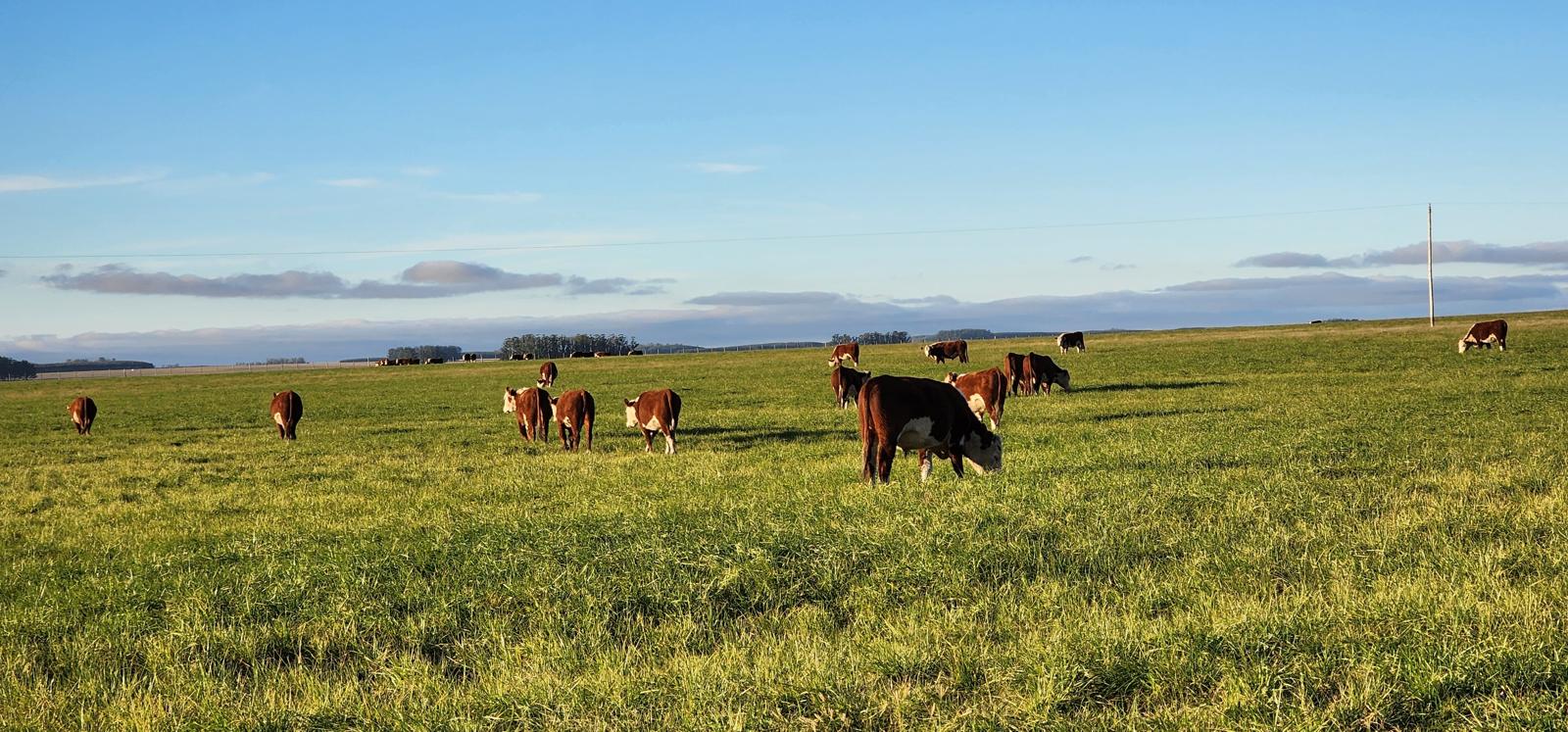 Julio Cardozo cerró su ciclo en Colonización y este miércoles asume ...