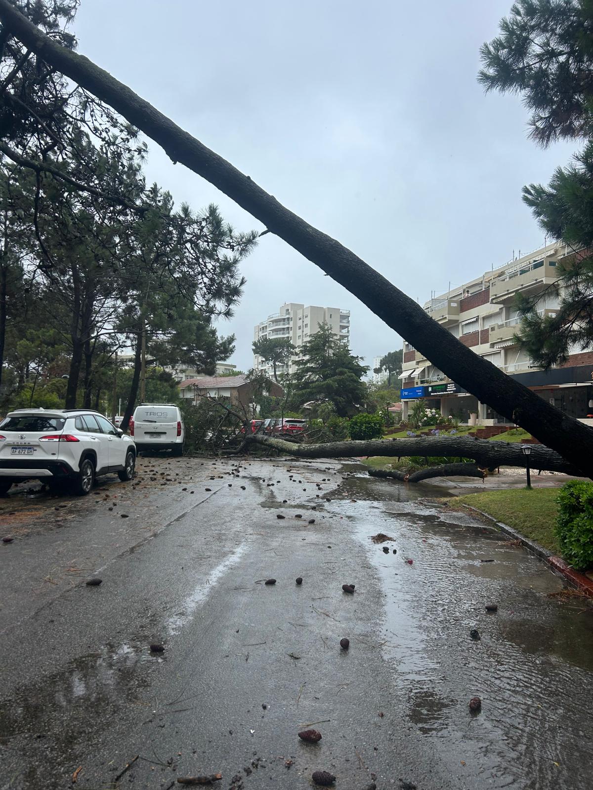 Temporal provoca daños en Jose Ignacio y Punta del Este
