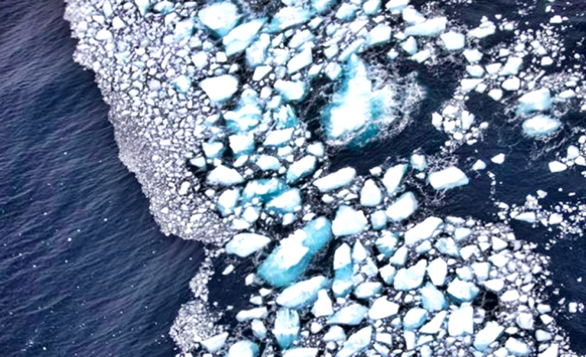 La última zona helada del Ártico mostró en 2020 una drástica pérdida de ...